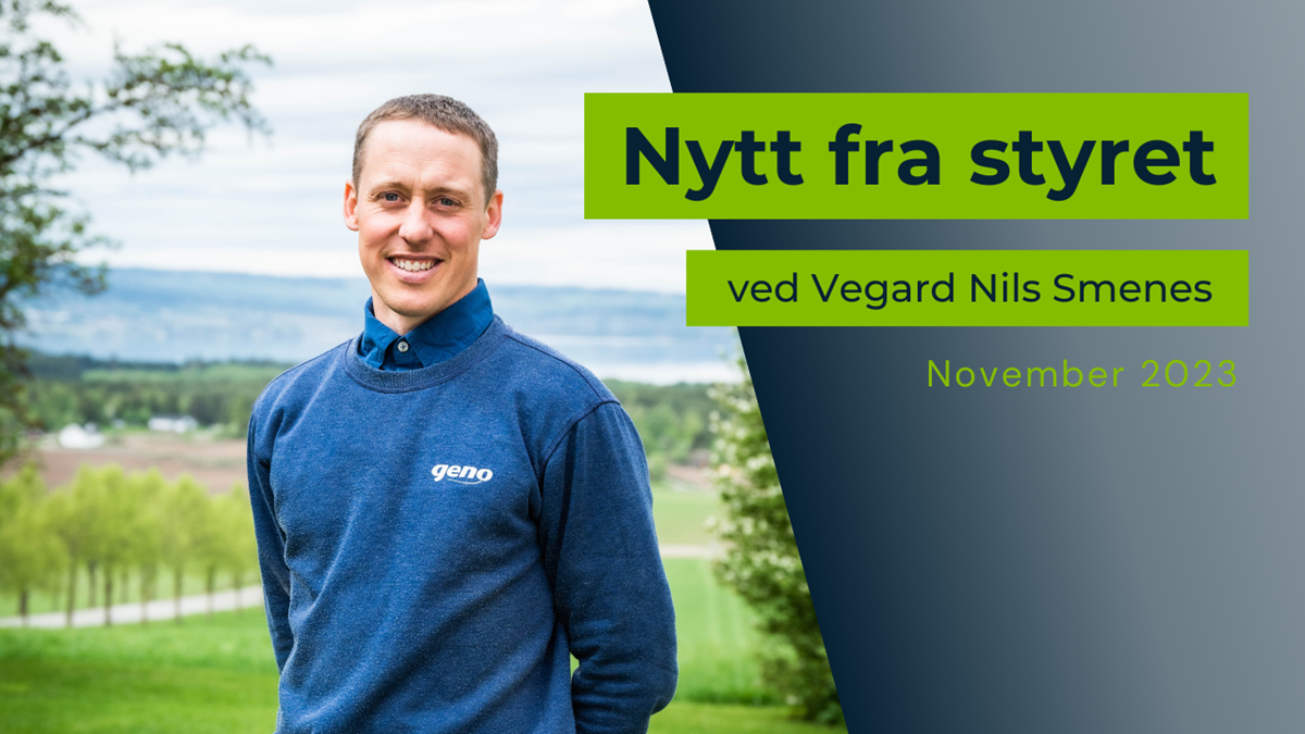 Nytt fra styret i november 2023 | Geno