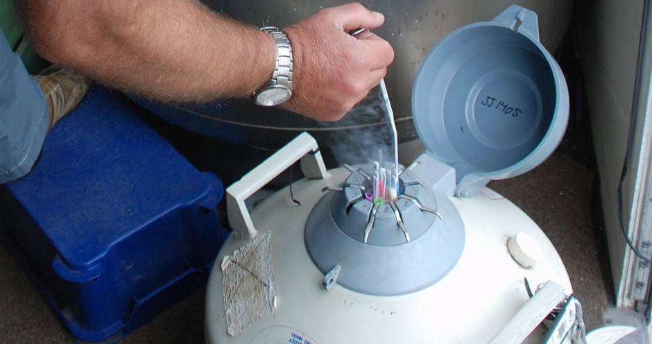 Innhold i beholder nå tilgjengelig på «Min side» | Geno