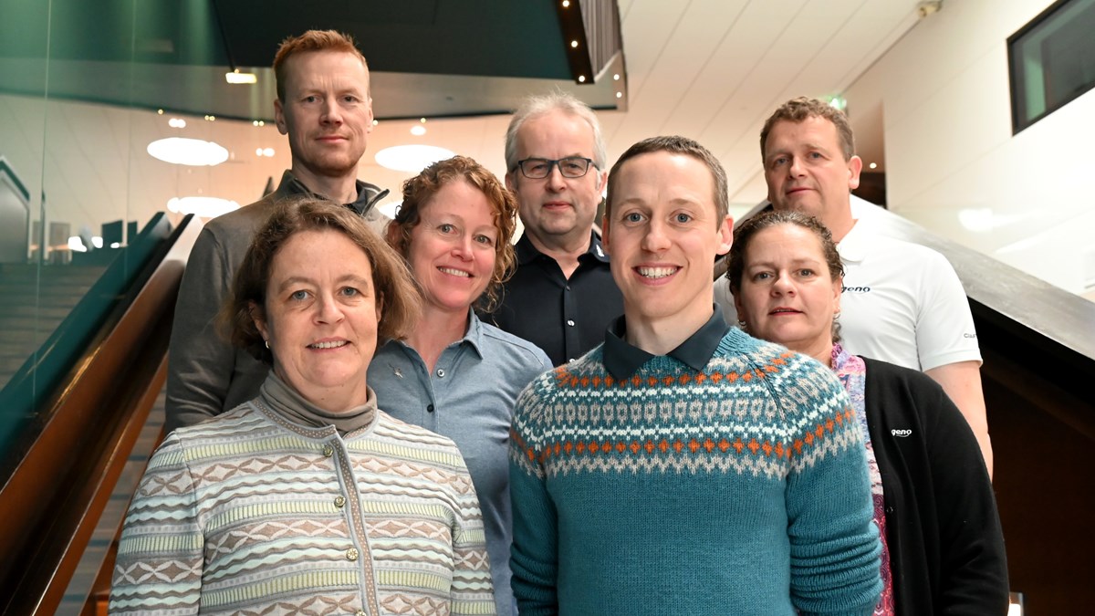 Møter om ny eierorganisasjon i Geno SA | Geno