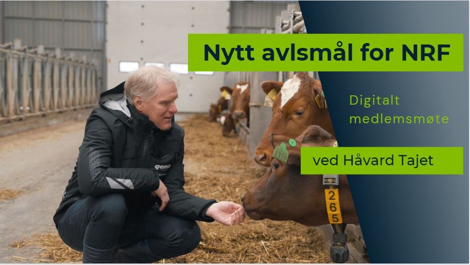 Se opptak av digitalt medlemsmøte om justert avlsmål for NRF | Geno